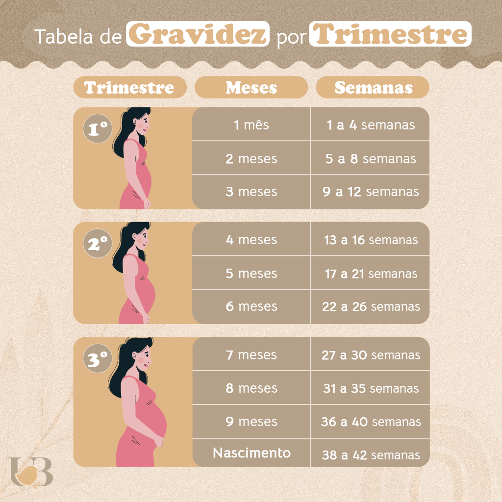 Tabela De Gesta o Veja Como Calcular E Acompanhar A Gravidez